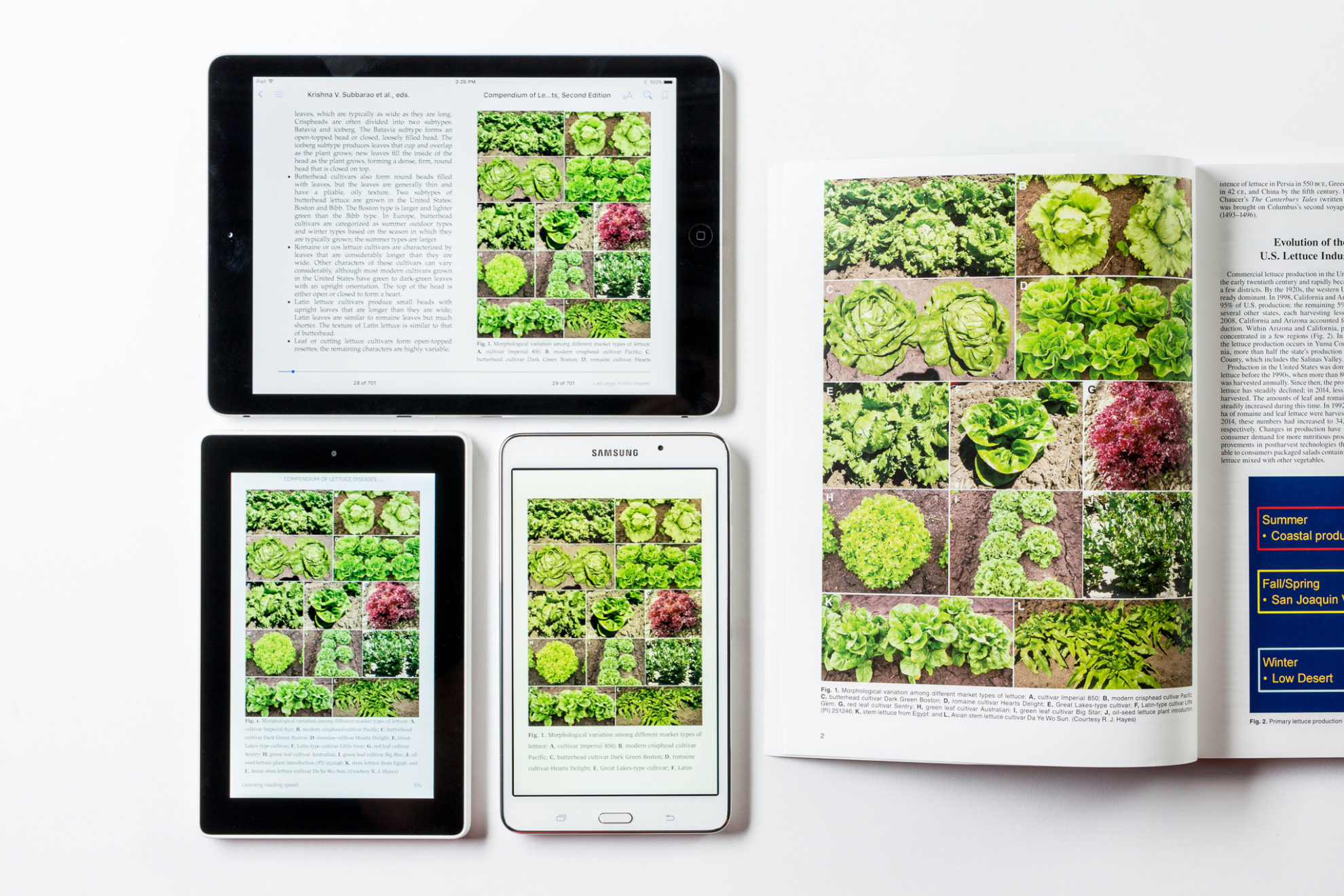 eBook Conversion - Bookmobile Design & Digital