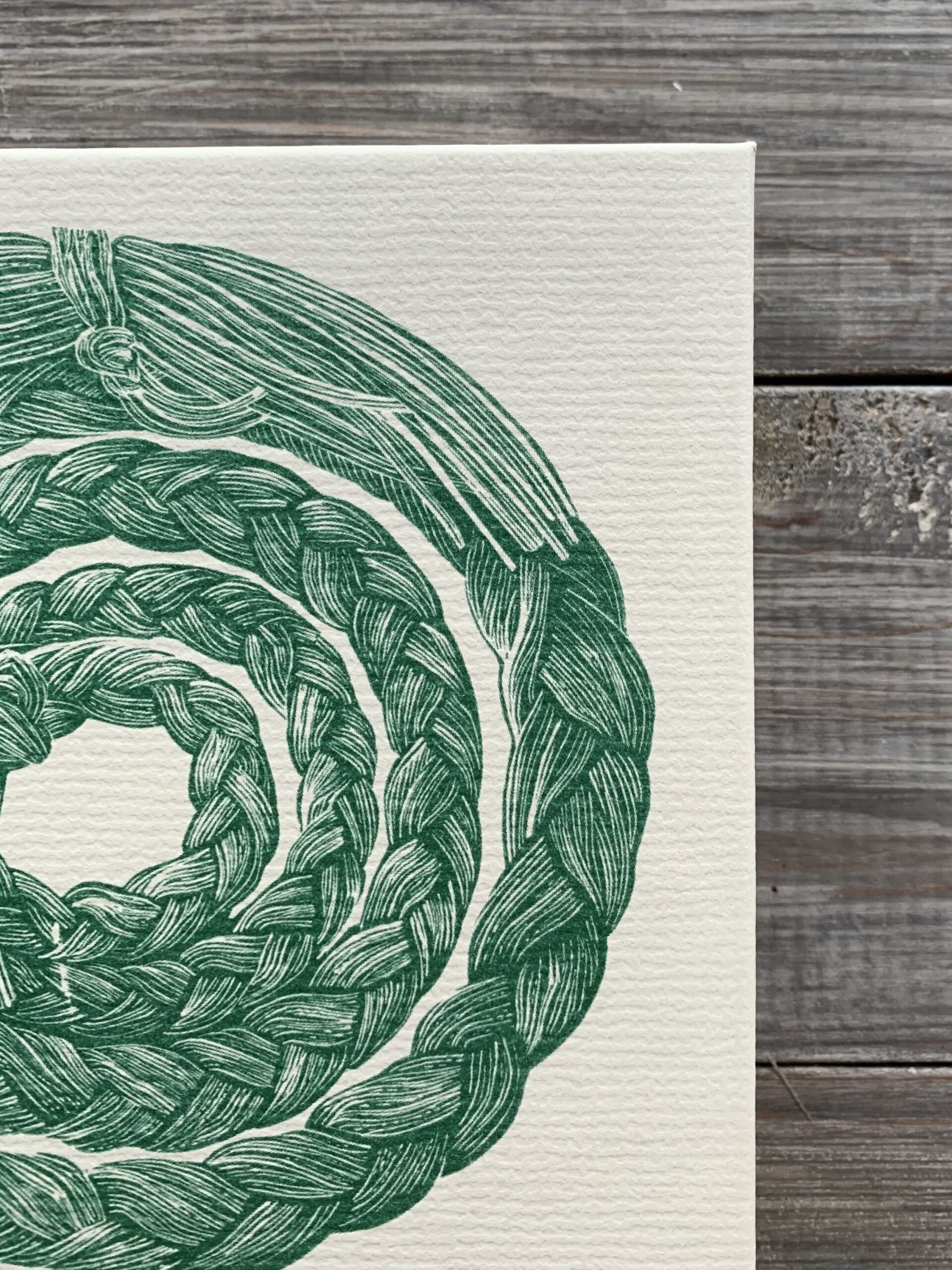 Braiding Sweetgrass by Robin Wall Kimmerer - Bookmobile Design & Digital